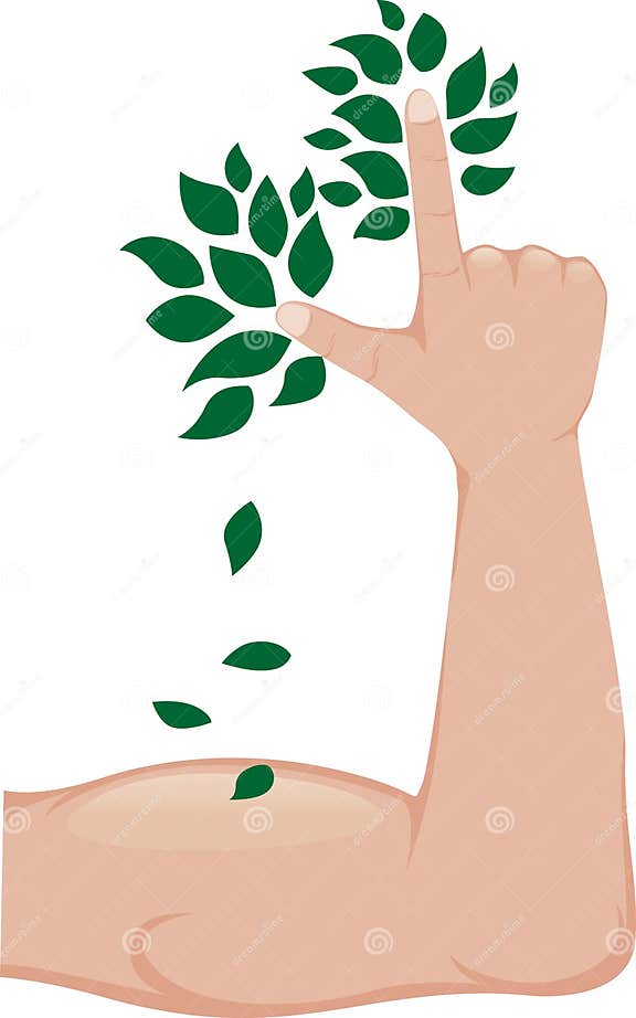 Stylized tree arm stock illustration. Illustration of emblem - 57624738