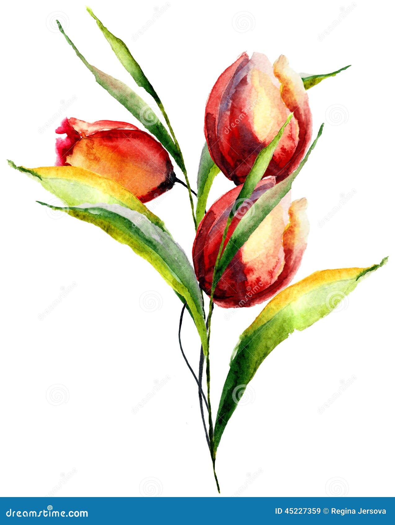 Stylized Tulips flowers stock illustration. Illustration of decorative ...