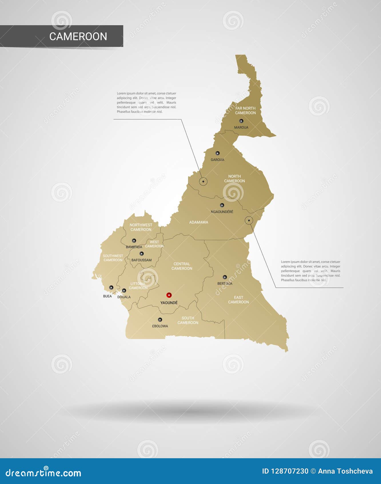 Vector Map Of Cameroon. High Detailed Country Map With Division, Cities ...