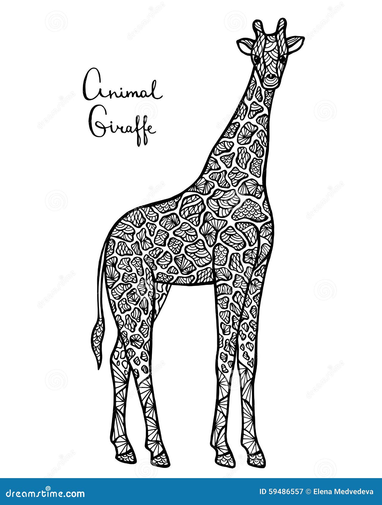 Stylized Vector Giraffe, Zentangle Isolated on White Background. Stock ...