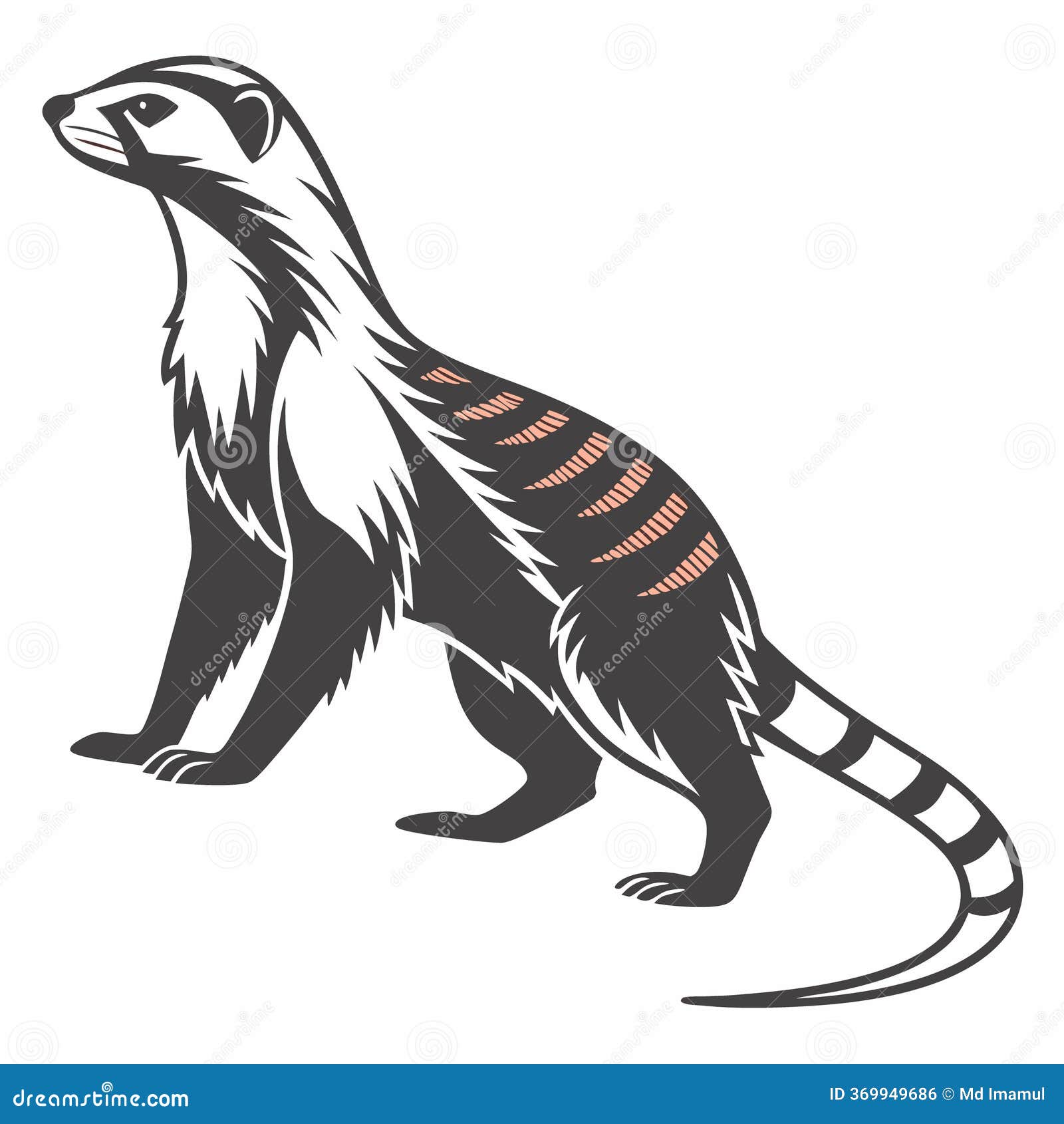 Vector Weasel Icon Symbol On The White Background | CartoonDealer.com ...