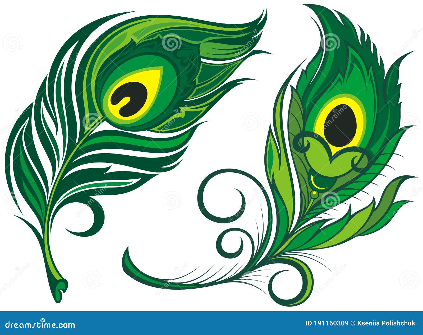 Stylized, Vector Peacock Feathers. Set of Feathers Stock Vector ...