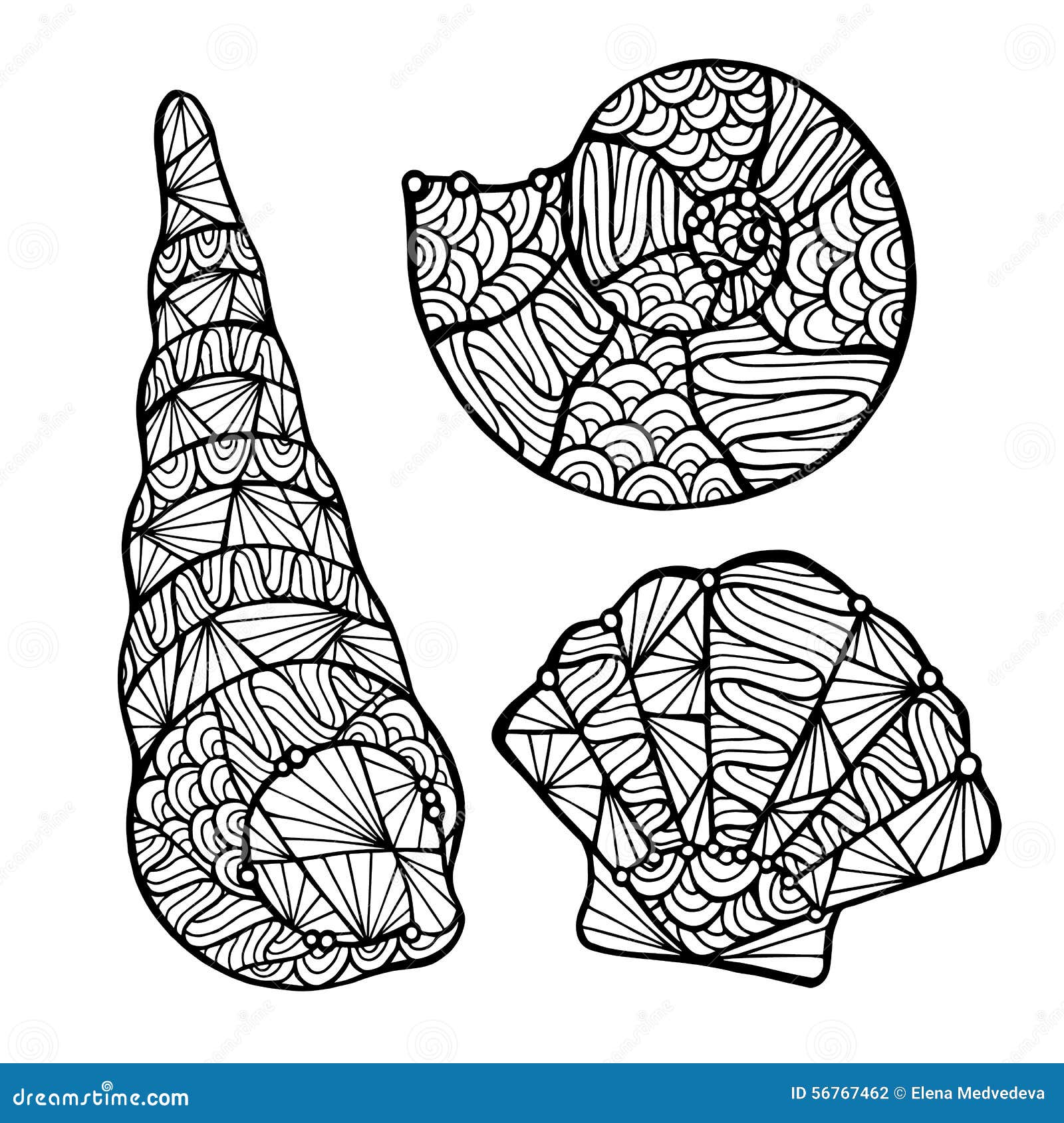 Stylized Vector Shell, Zentangle Stock Vector - Illustration of ...