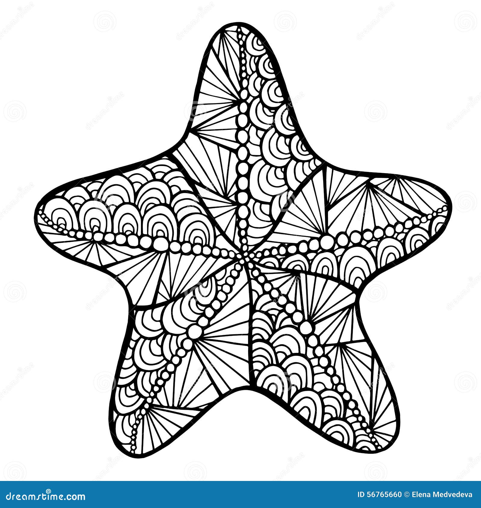 Stylized Vector Starfish, Zentangle Stock Vector - Illustration of ...