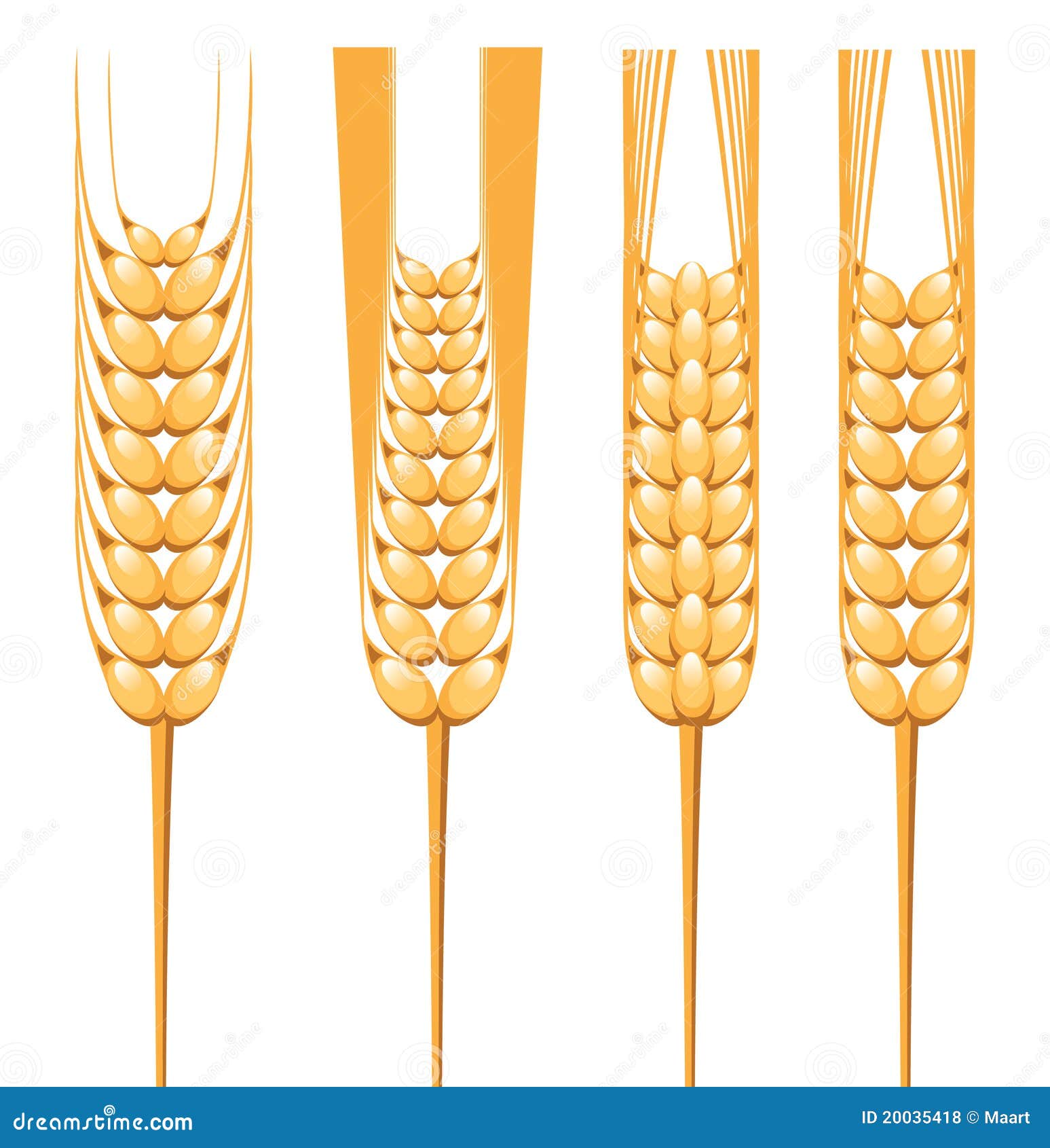 Stylized wheat ears stock vector. Illustration of ripe - 20035418