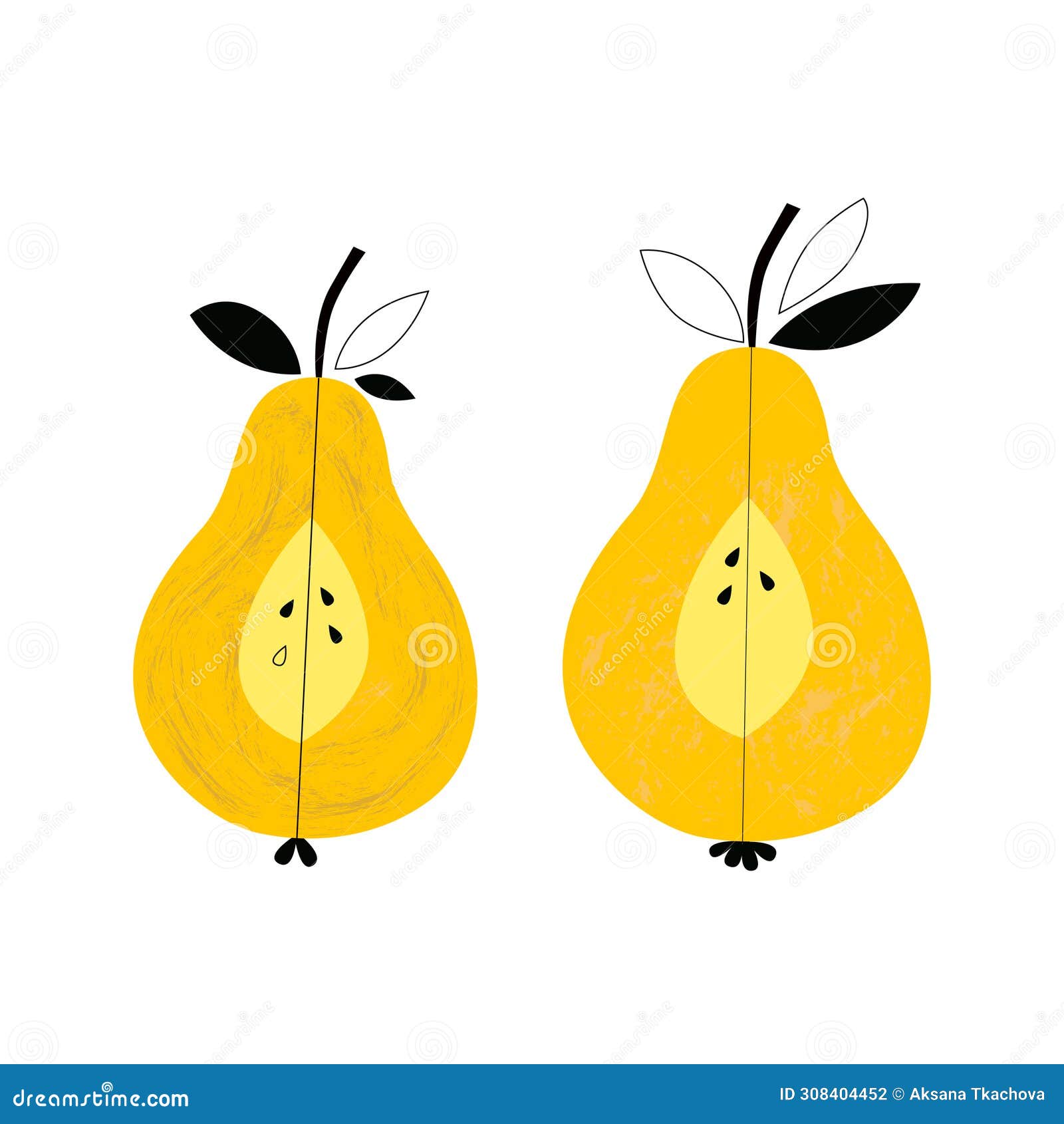 Stylized Yellow Pear in Section. Cross Section of a Cut Pear, Isolated ...