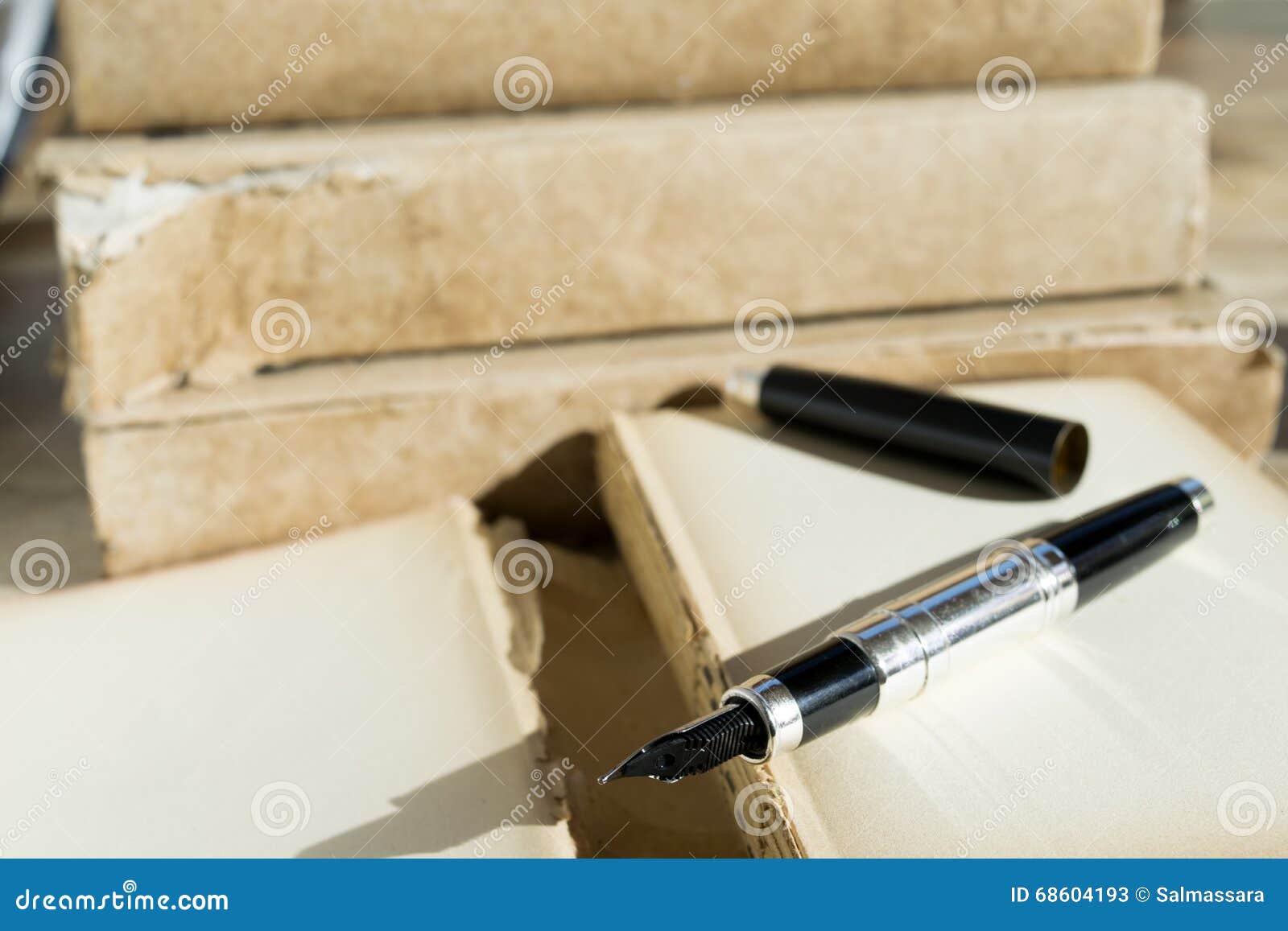 Stylographic Pen and Ancient Manuscript Stock Image - Image of draft ...