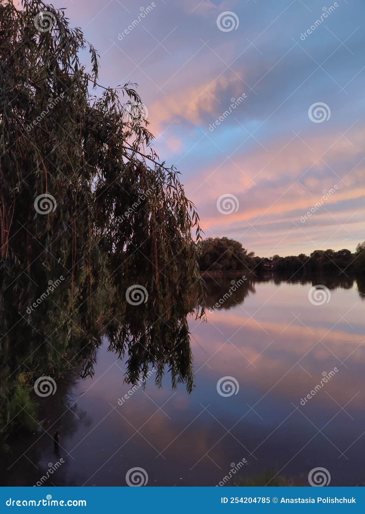 The Styr River stock image. Image of river, water, sunset - 254204785