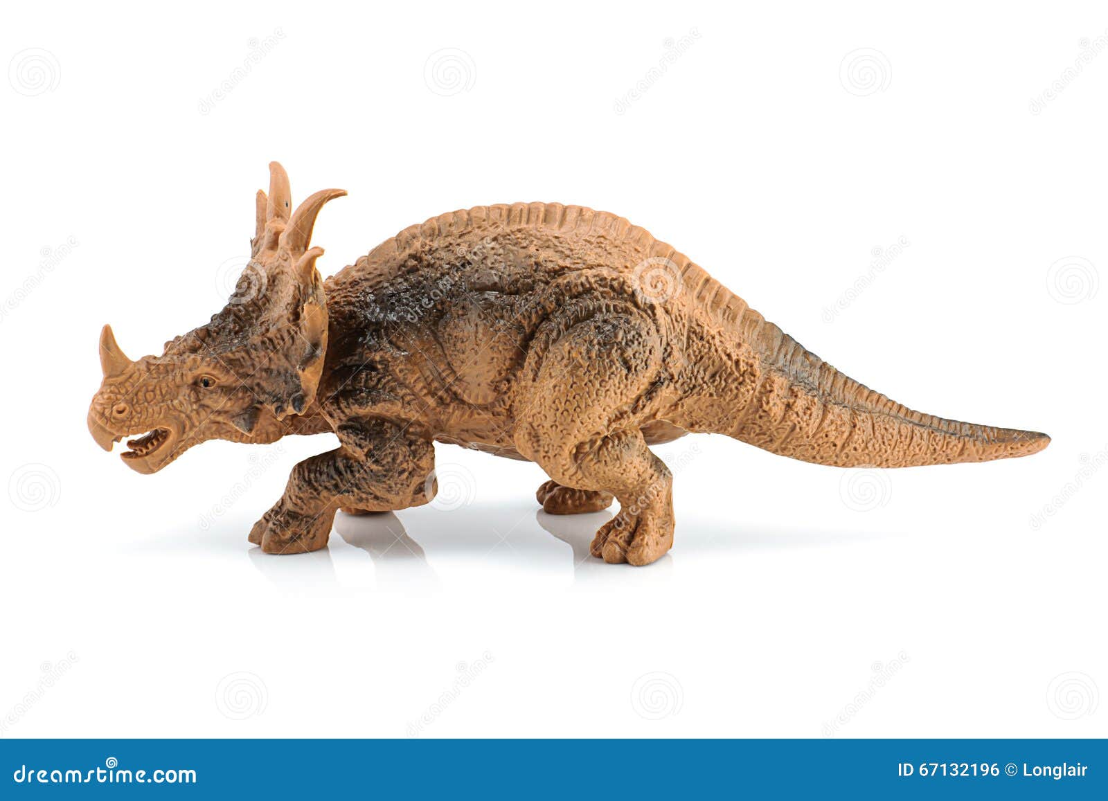 Styracosaurus Dinosaur Figure Toy Isolated on White Stock Photo - Image ...