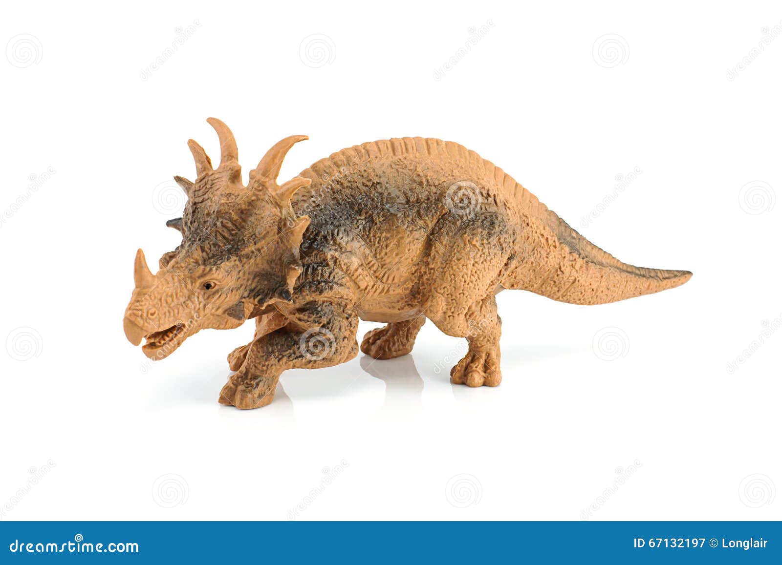 Styracosaurus Dinosaur Figure Toy Isolated on White Stock Image - Image ...