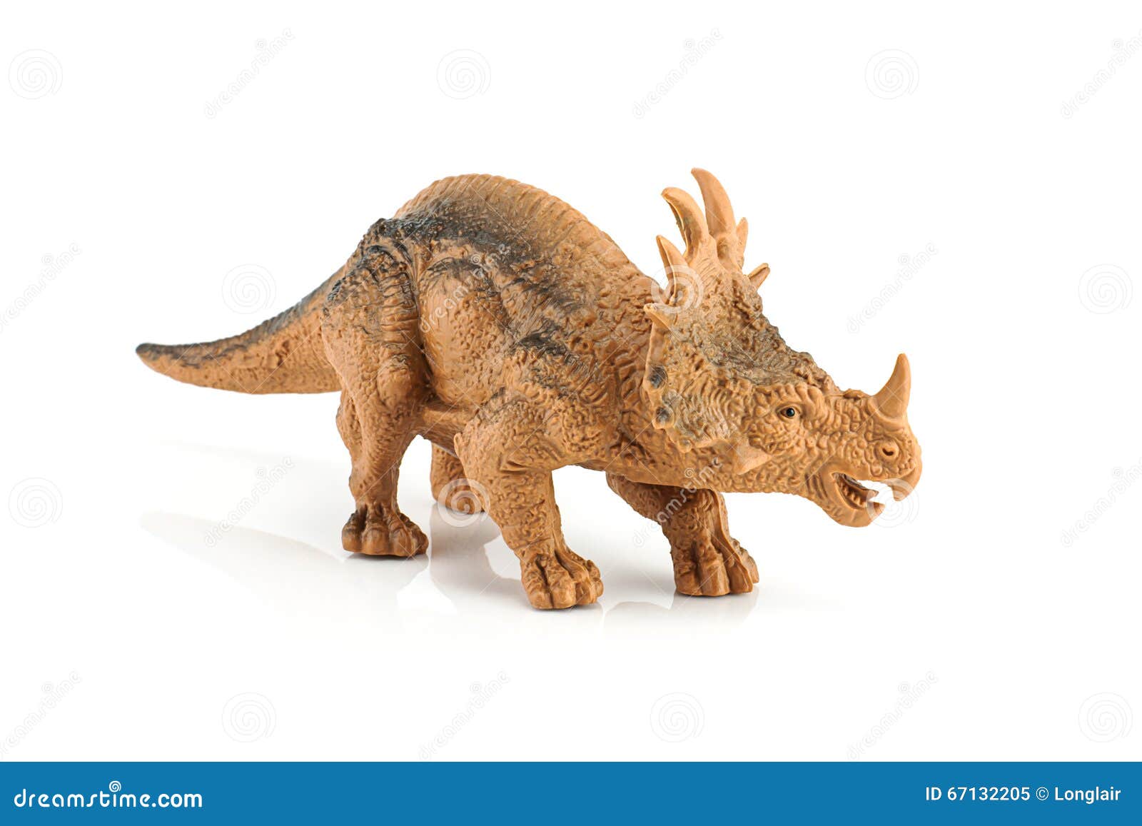 Styracosaurus Dinosaur Figure Toy Isolated on White Stock Image - Image ...