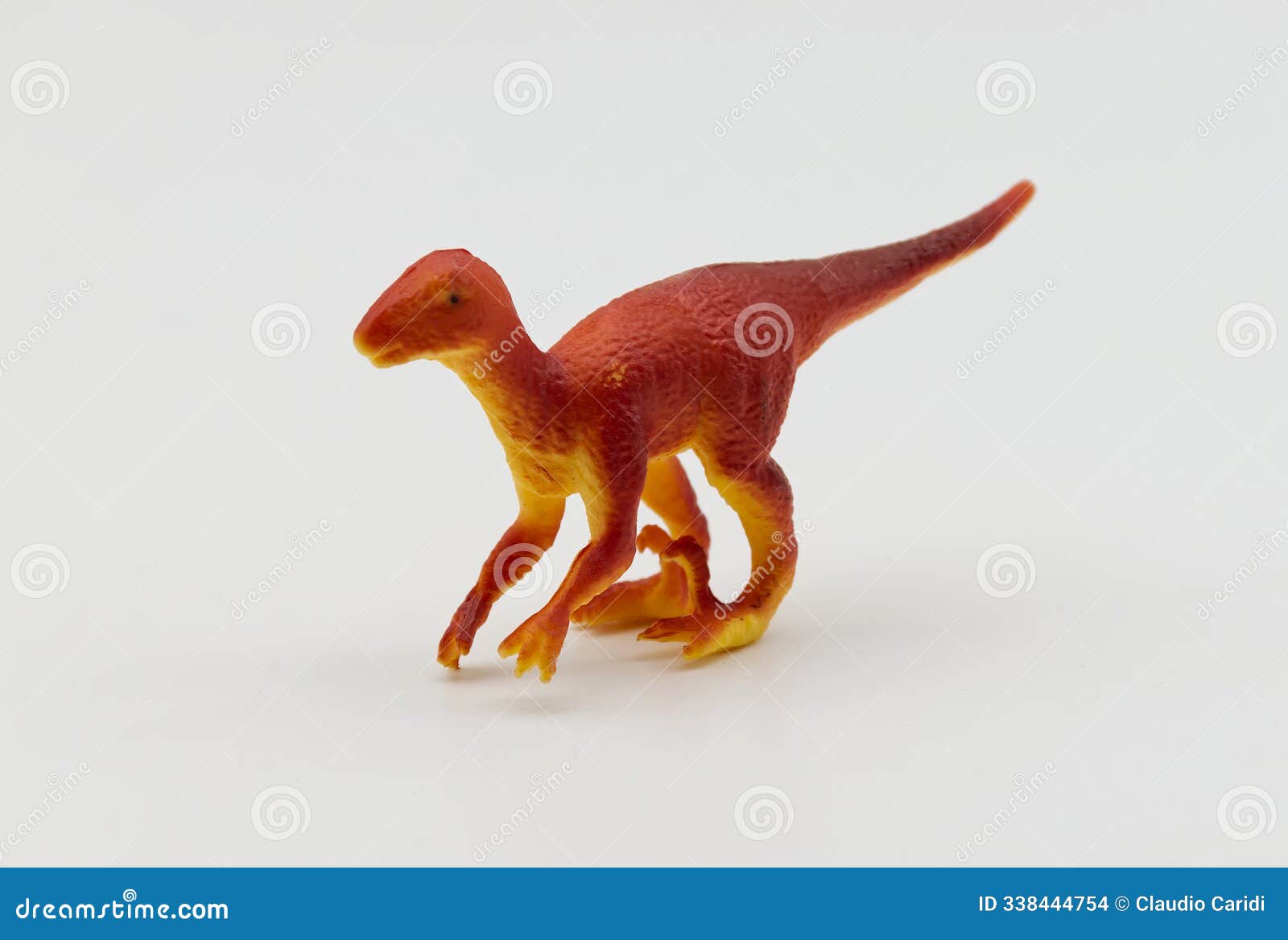 Styracosaurus Isolated on White Background. Prehistoric Animals Stock ...