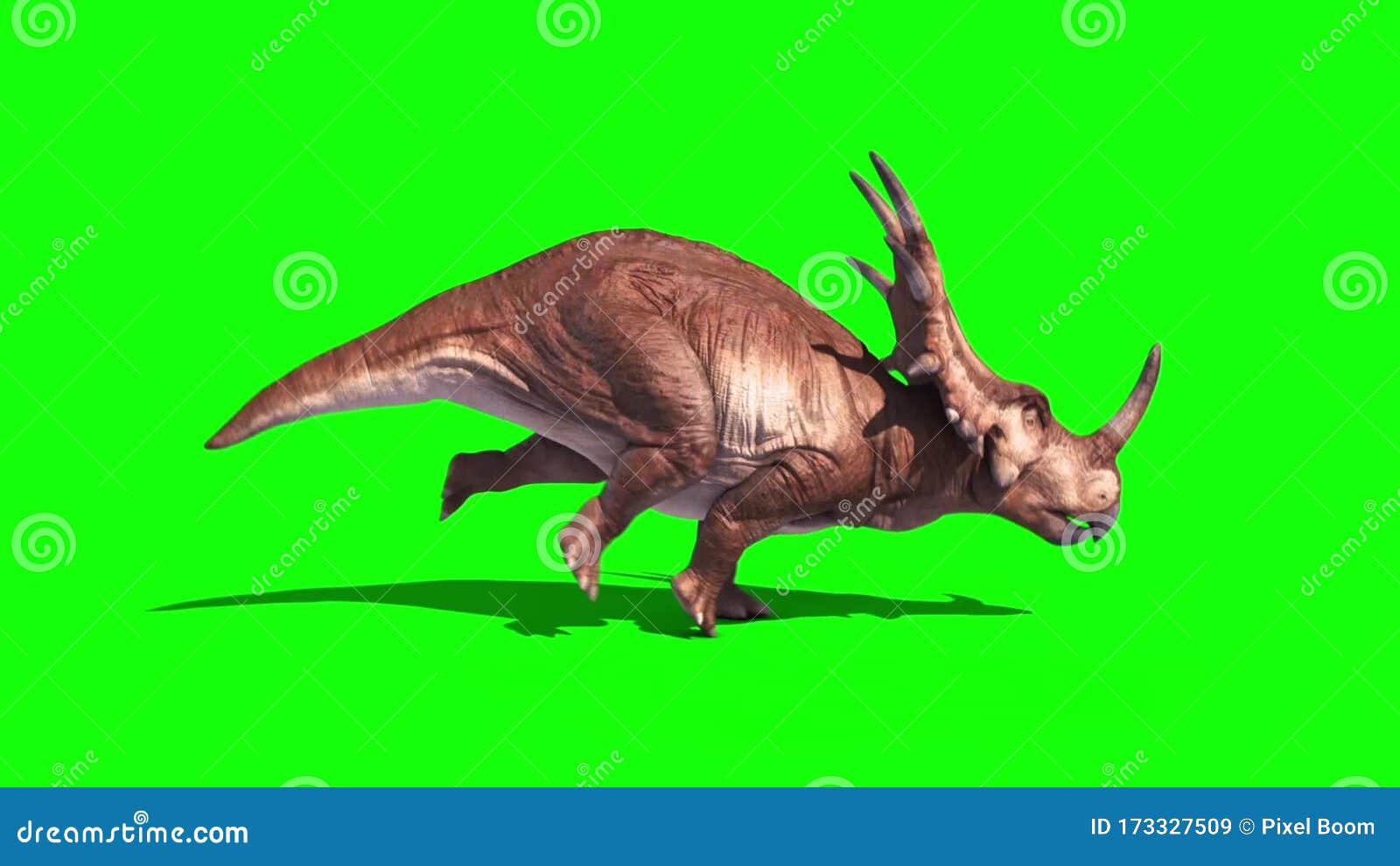 Styracosaurus Triceratops Run Side Static Loop Dinosaurs Jurassic Green ...