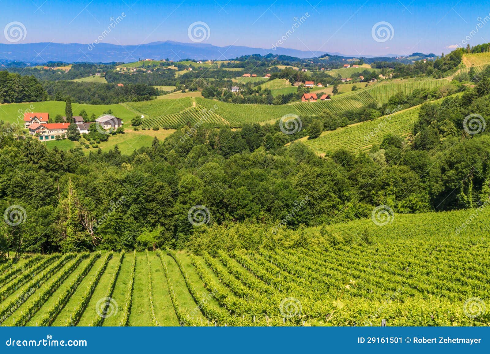 Styrian Tuscany Vineyard, Styria, Austria Stock Image - Image of ...