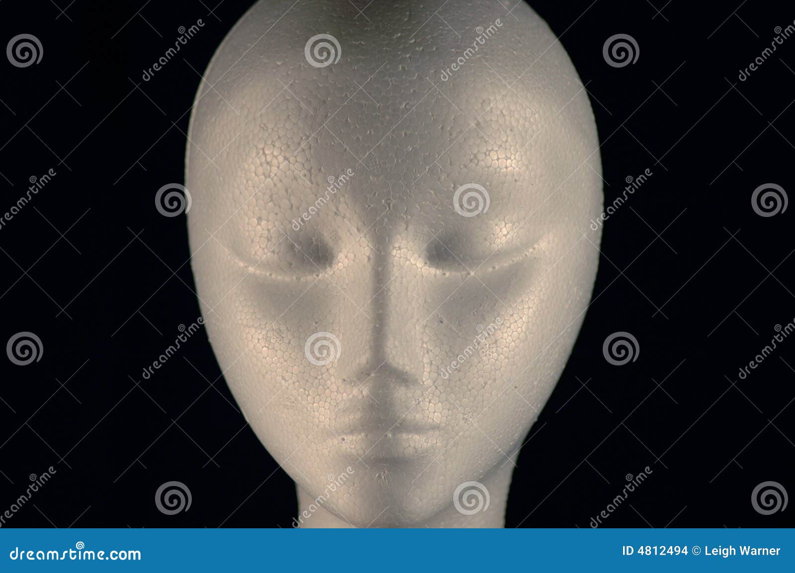 Styro foam head stock photo. Image of styro, crafts, nose - 4812494