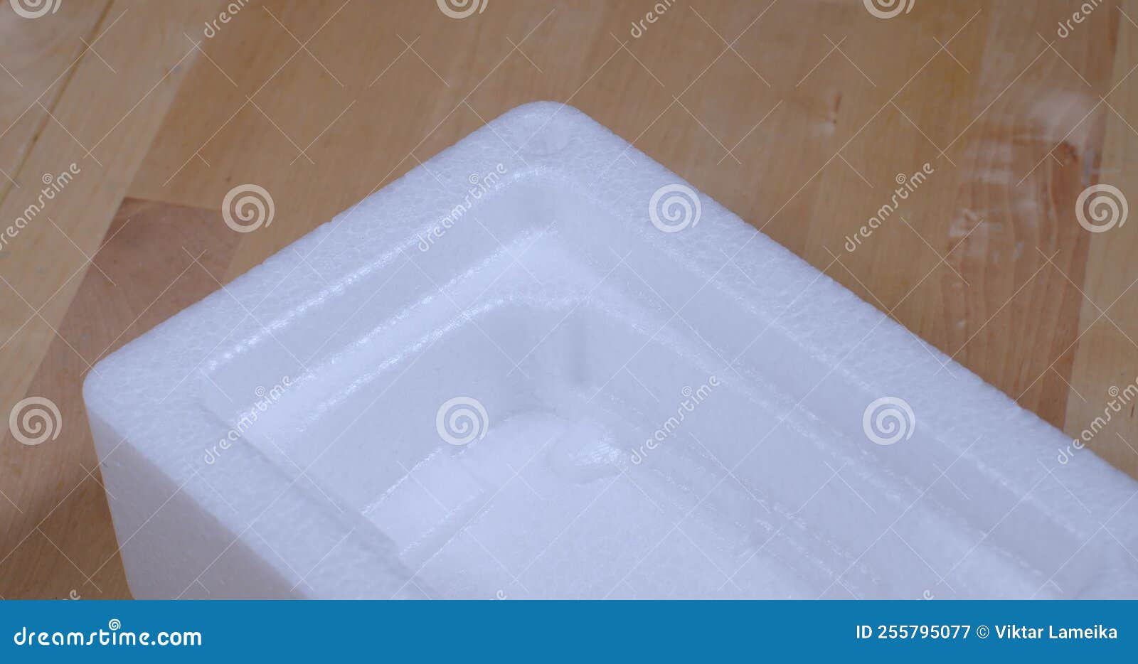 Styrofoam Box for Transporting Goods. Recess for Placing an Object ...