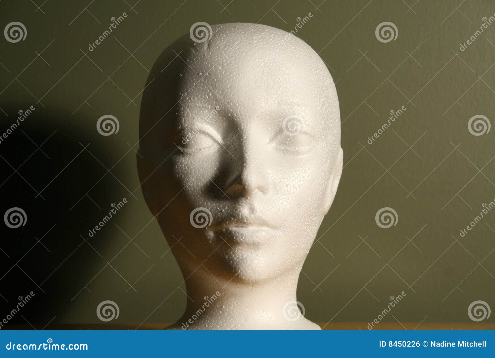 Styrofoam Head stock photo. Image of study, styrofoam - 8450226