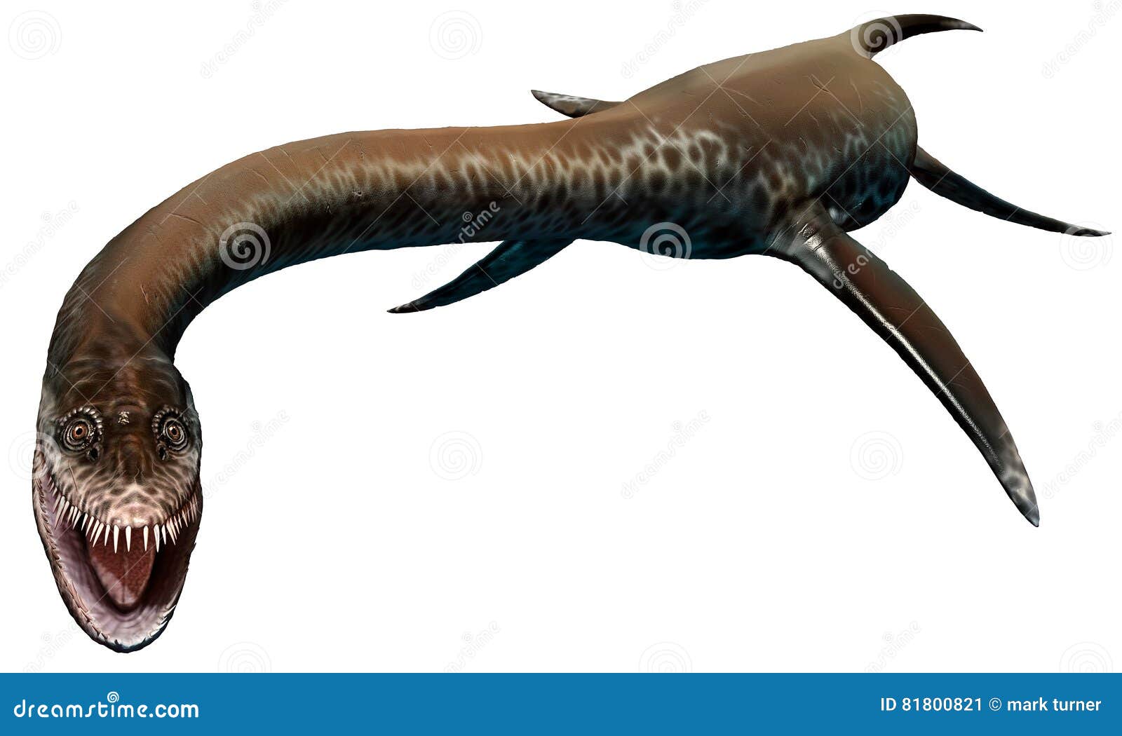 Styxosaurus stock illustratie. Illustration of voorhistorisch - 81800821