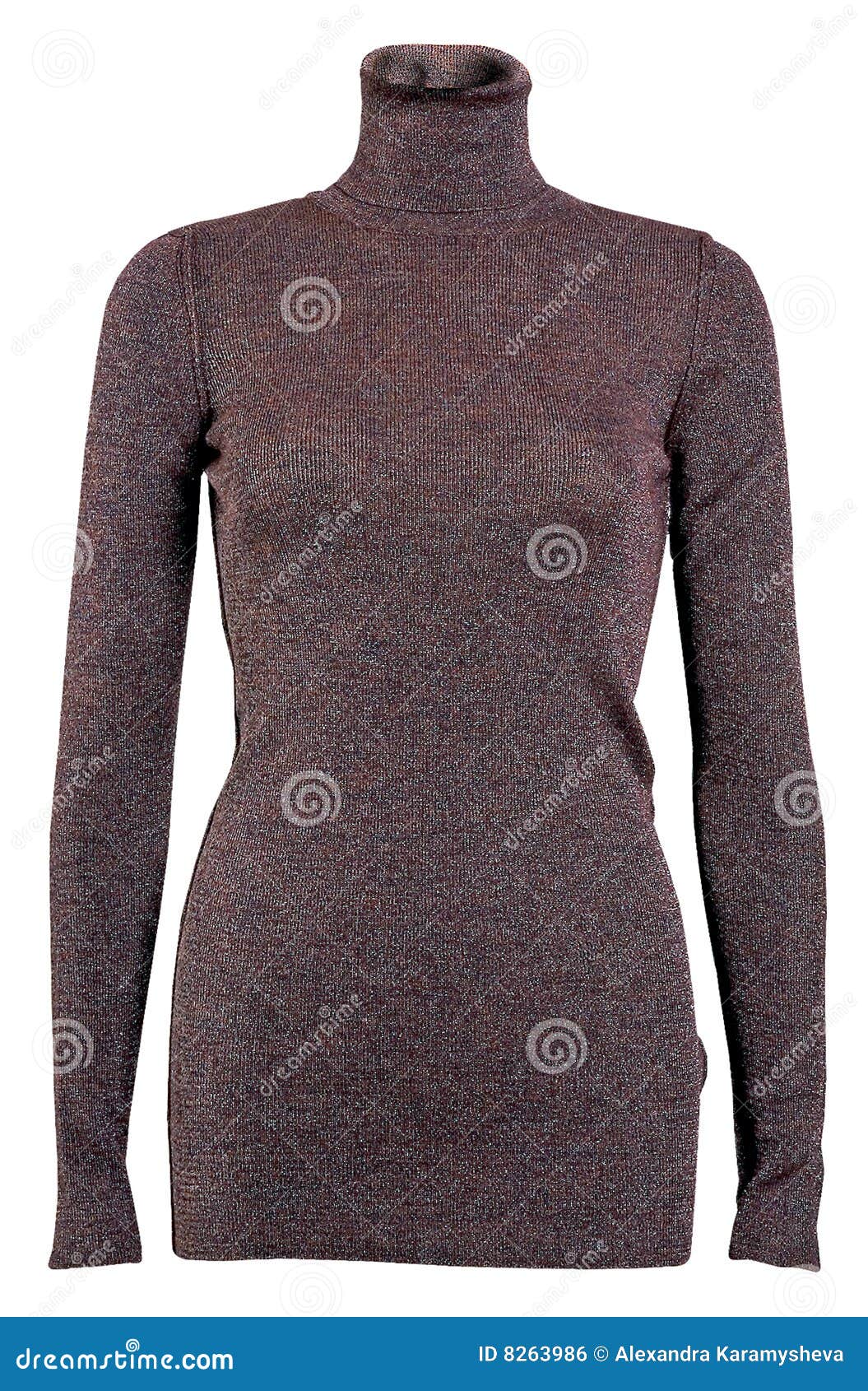 Suéter foto de archivo. Imagen de telas, manera, hembra - 8263986