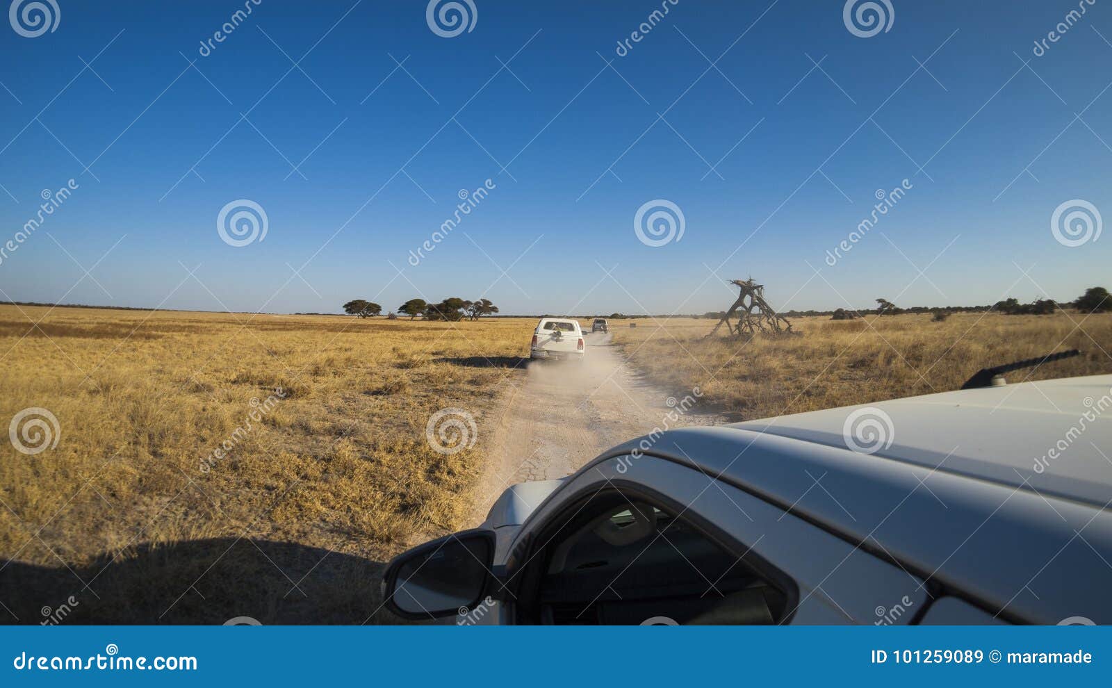 Sua Pan stock image. Image of thirst, wildlife, driving - 101259089