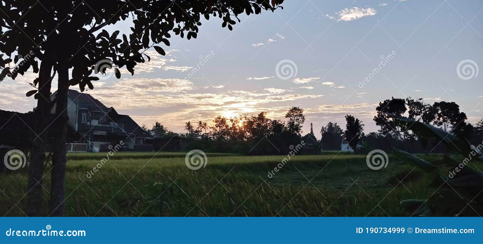 Suasana Pagi stock image. Image of plain, sunset, pagi - 190734999