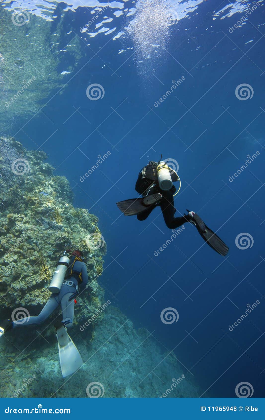 Suba-Diver stock photo. Image of swimming, sports, underwater - 11965948