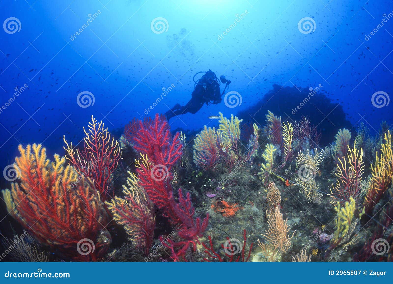 Subacqueo immagine stock. Immagine di radura, profondo - 2965807