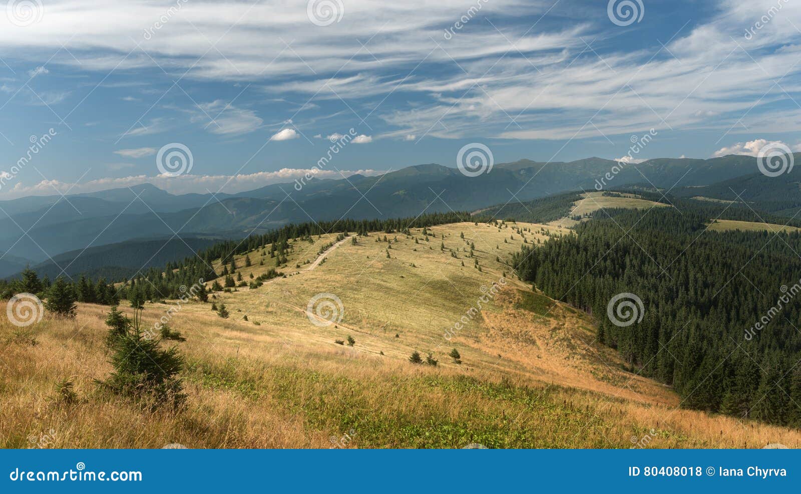 Subalpine Meadow at Mountains Stock Photo - Image of forest, alps: 80408018