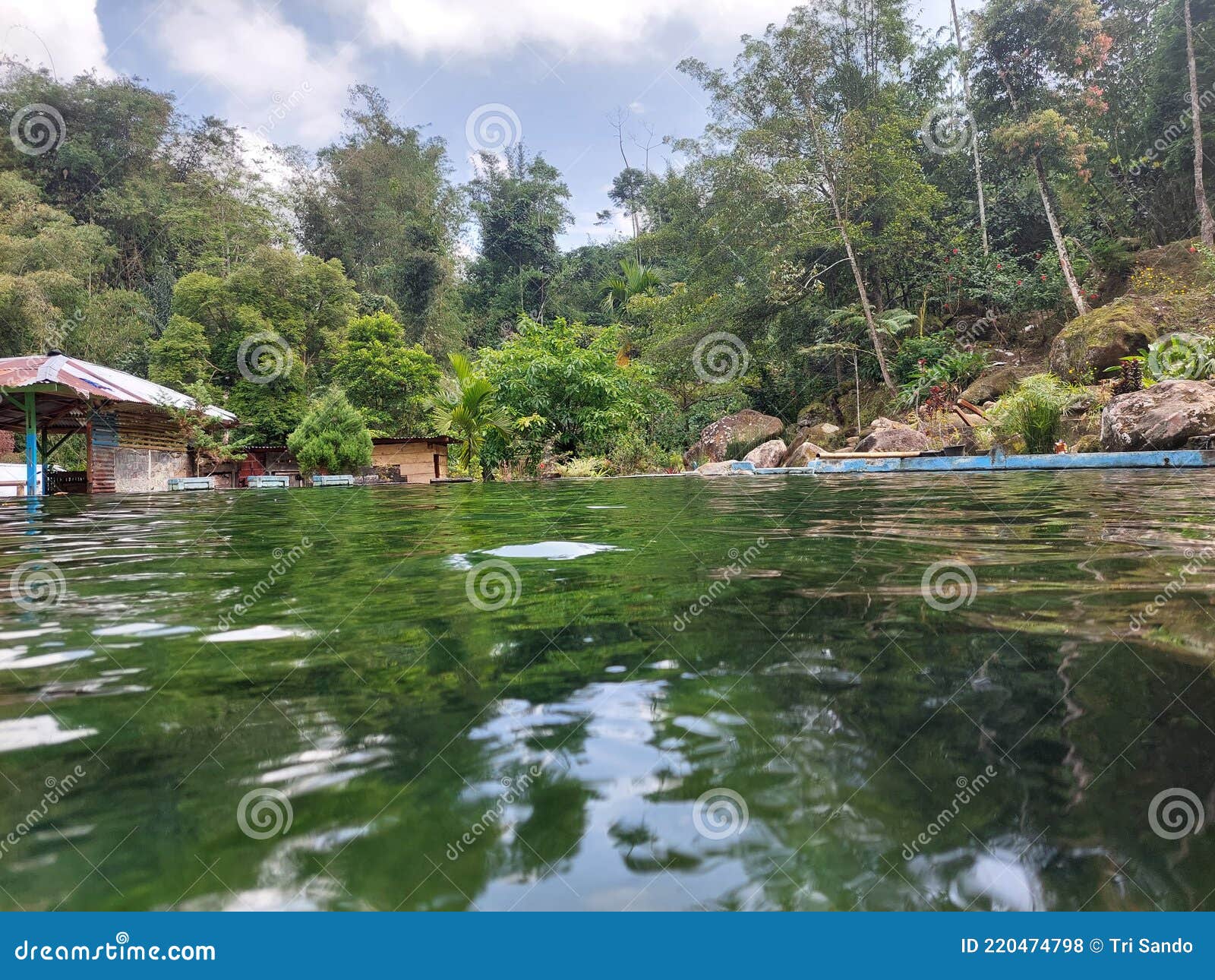 Suban air panas stock photo. Image of wetland, bayou - 220474798