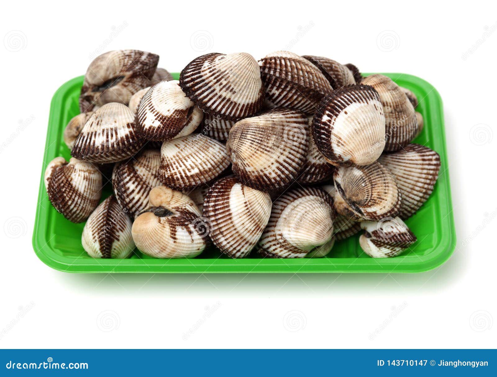 Subcrenata de Scapharca imagen de archivo. Imagen de alimento - 143710147