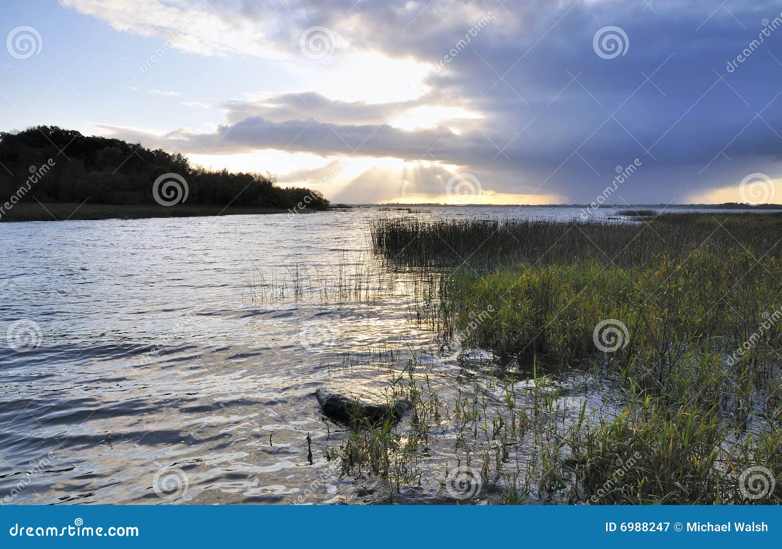 Subdued Light on LoughEnnell Stock Image - Image of environment, autumn ...