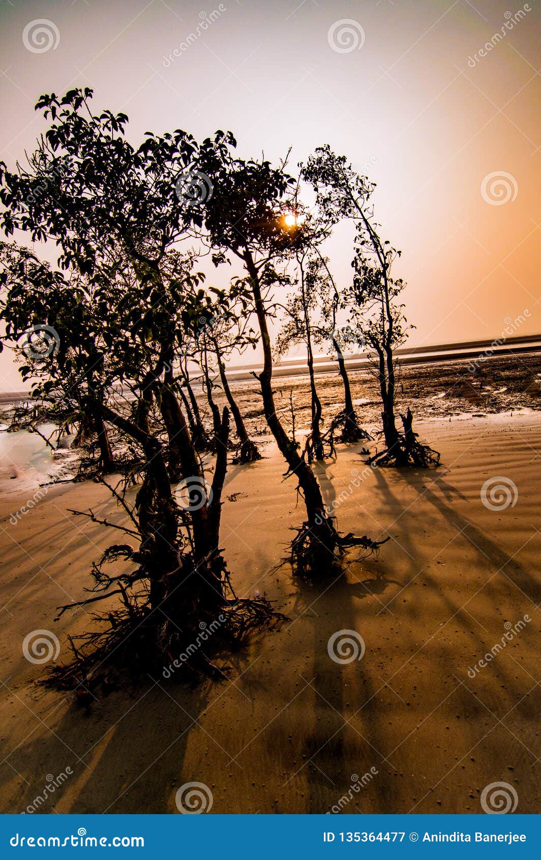 Subida De Oro Del Sol Sobre La Playa Del Mangle Imagen de archivo ...