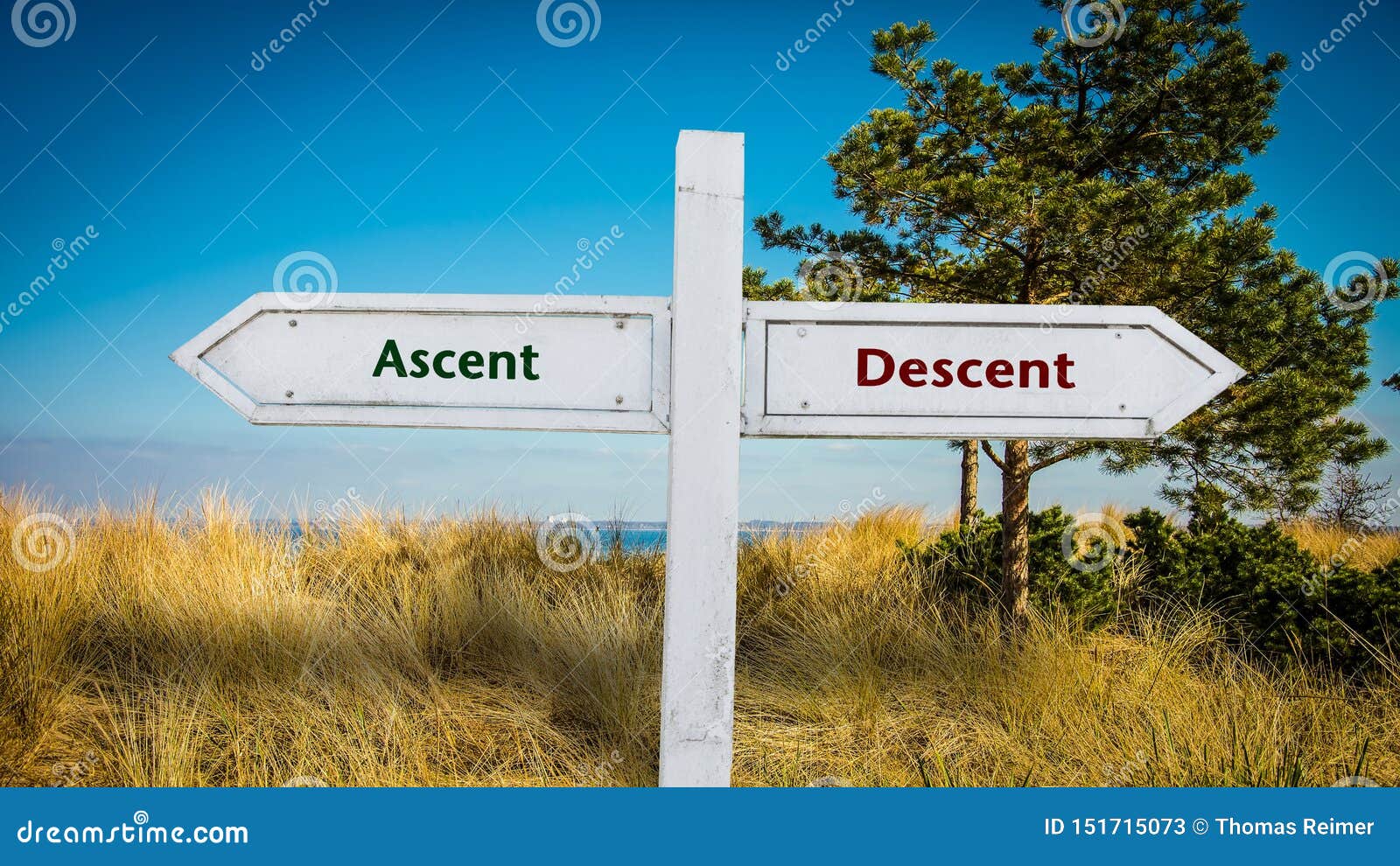 Subida Do Sinal De Rua Contra a Descida Imagem de Stock - Imagem de ...