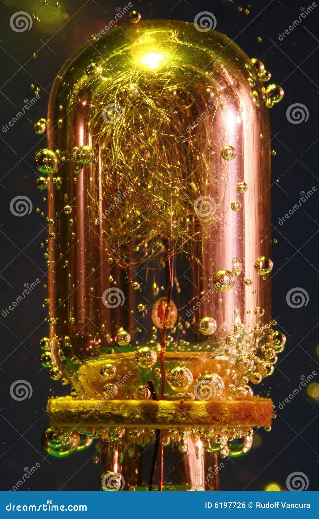 Submerged Flashbulb stock photo. Image of still, bubbly - 6197726