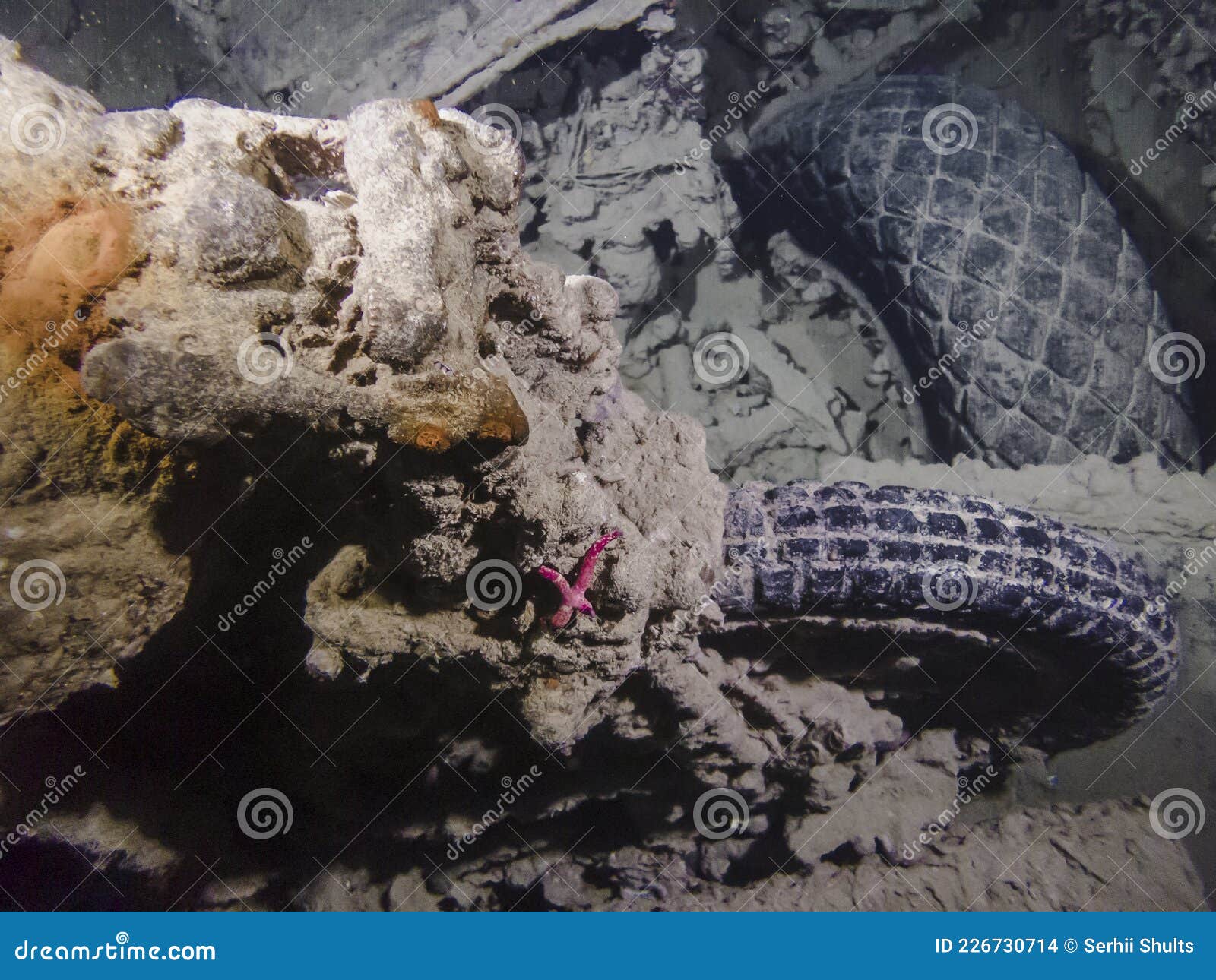 Submerged objects stock photo. Image of environment - 226730714