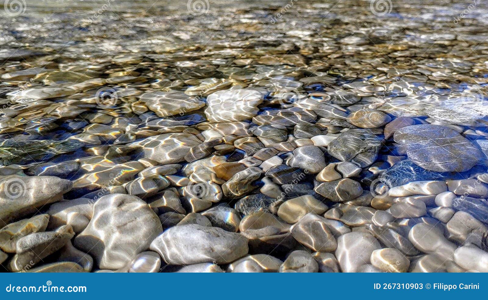 Submerged river pebbles stock image. Image of geology - 267310903