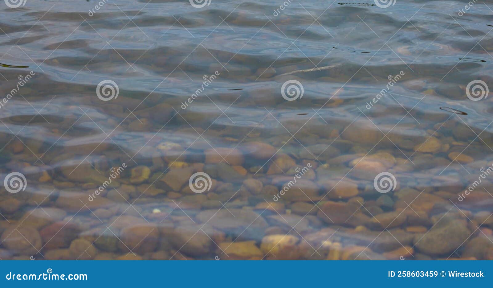 Submerged rocks in the sea stock video. Video of stones - 258603459
