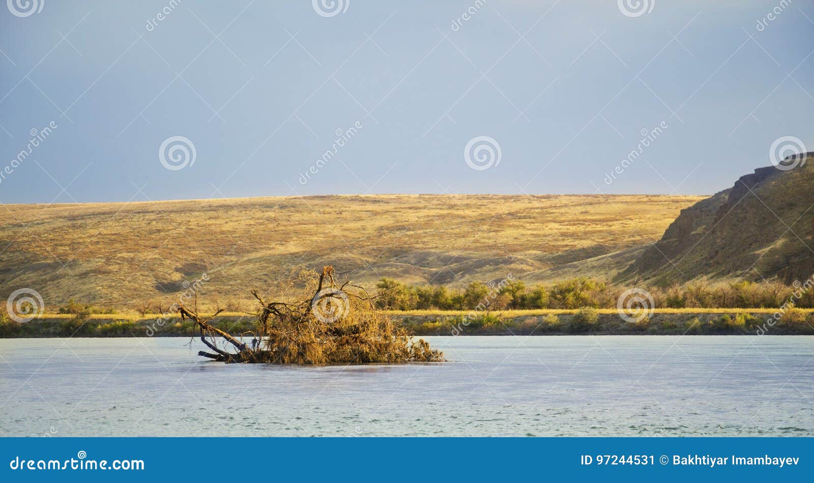 Submerged Tree in the River on a Background of Mountains Stock Image ...