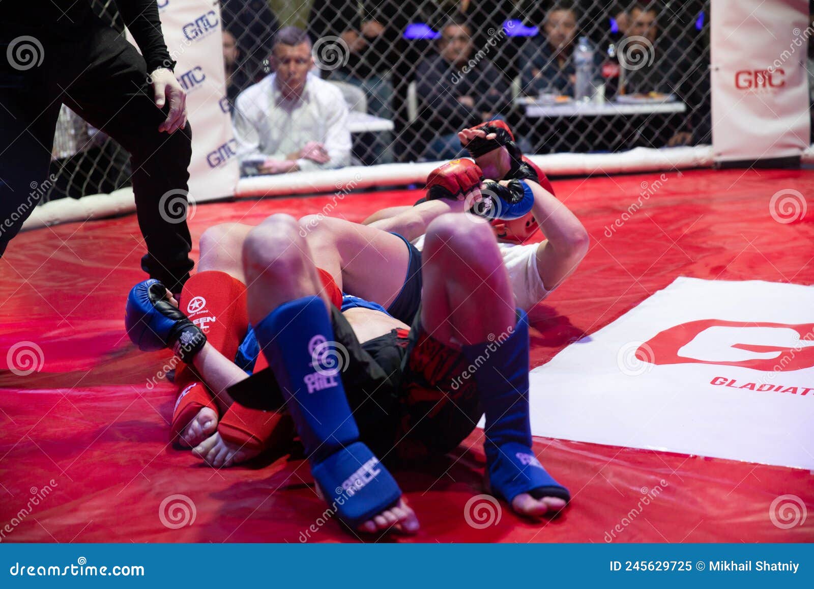 Submission hold editorial image. Image of muscle, punch - 245629725