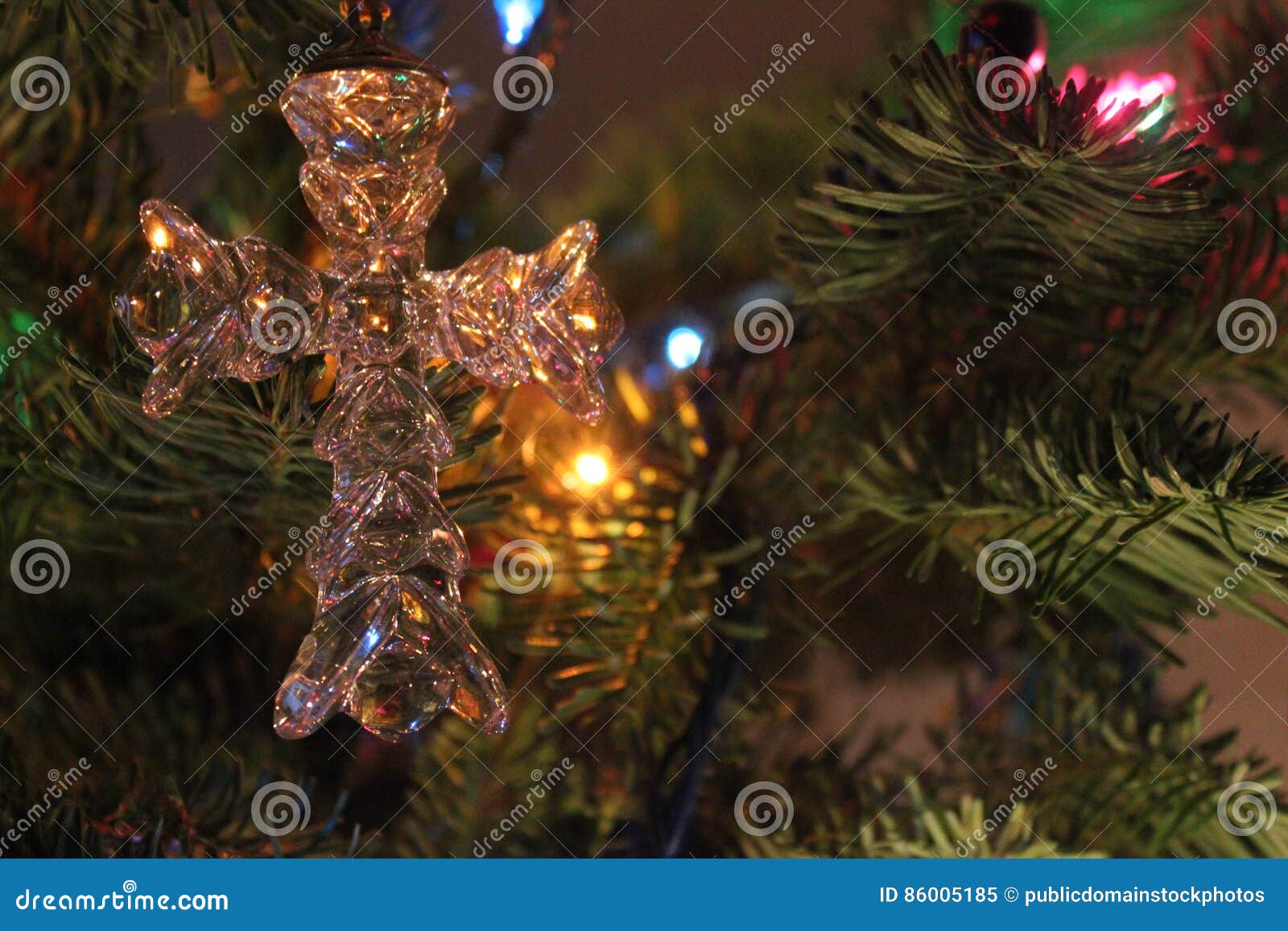 Submitted By Megan Grunke Picture. Image: 86005185