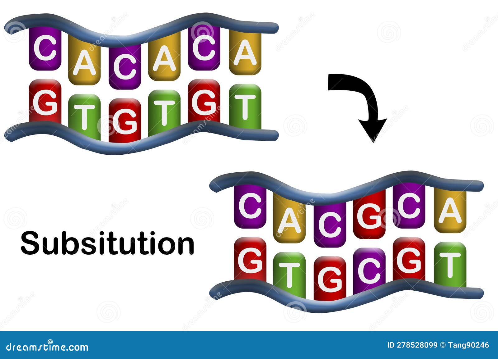 Substitution Mutation Error During Dna Replication Stock Illustration