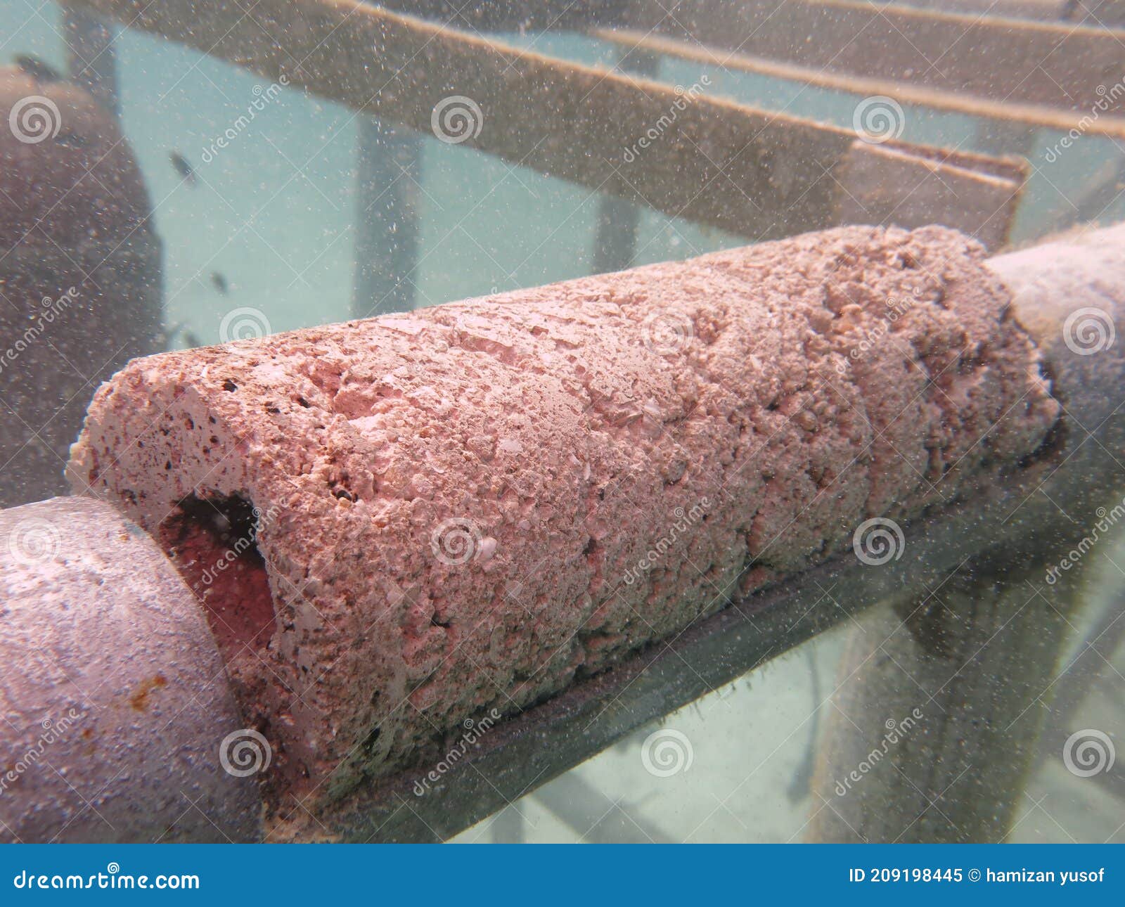 Substrate Used As Artificial Reef in Malaysia Stock Image - Image of ...