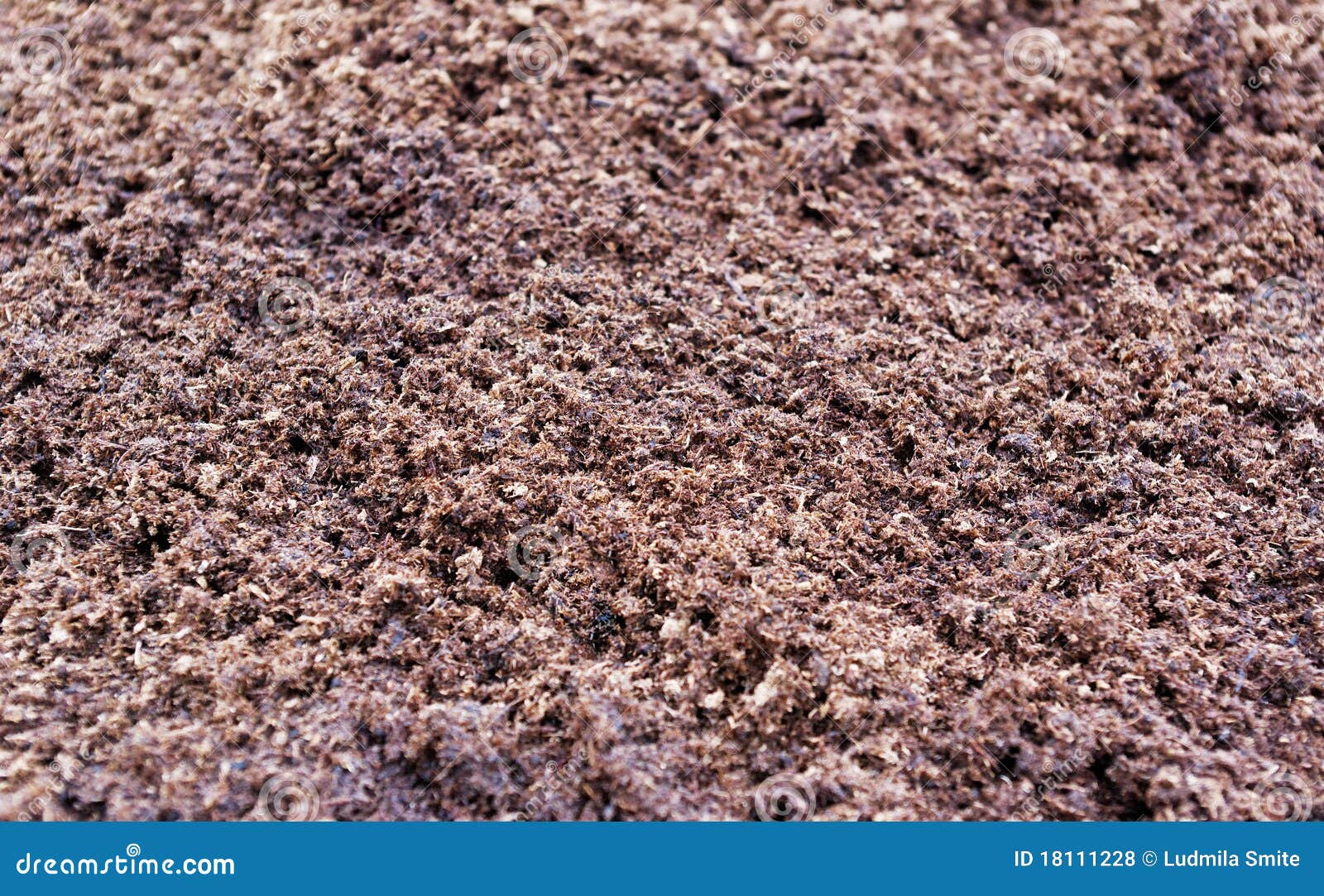 Substratum of turf. stock photo. Image of dirt, cultivated - 18111228