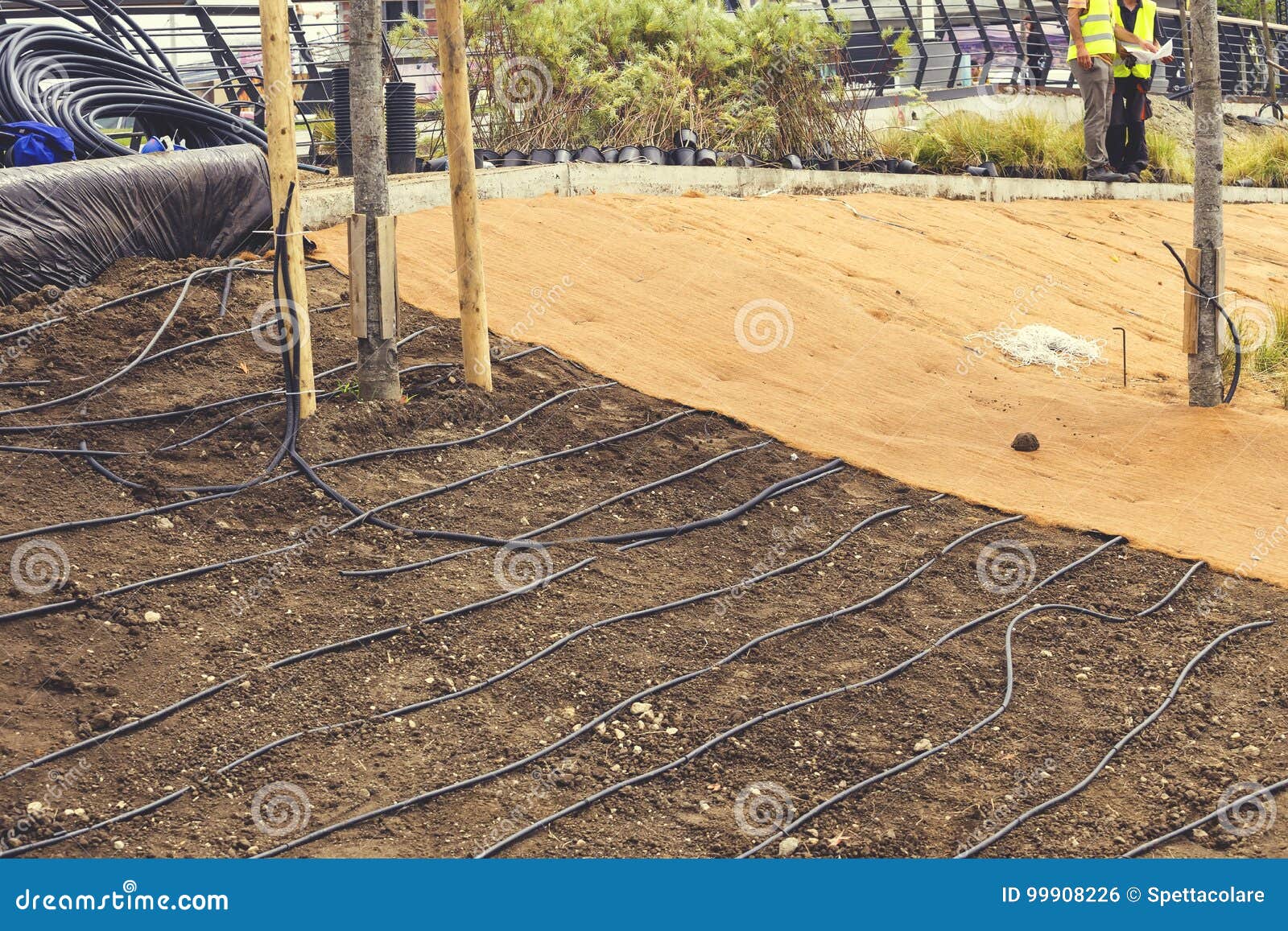 Subsurface Drip Irrigation for Plants Stock Photo - Image of ...