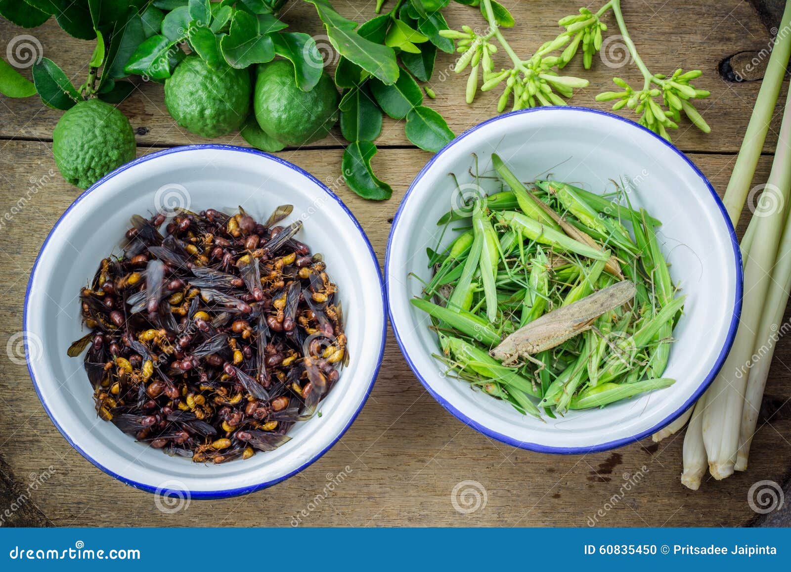 Subterranean Ants , Flying Ants On White Background. Royalty-Free Stock ...