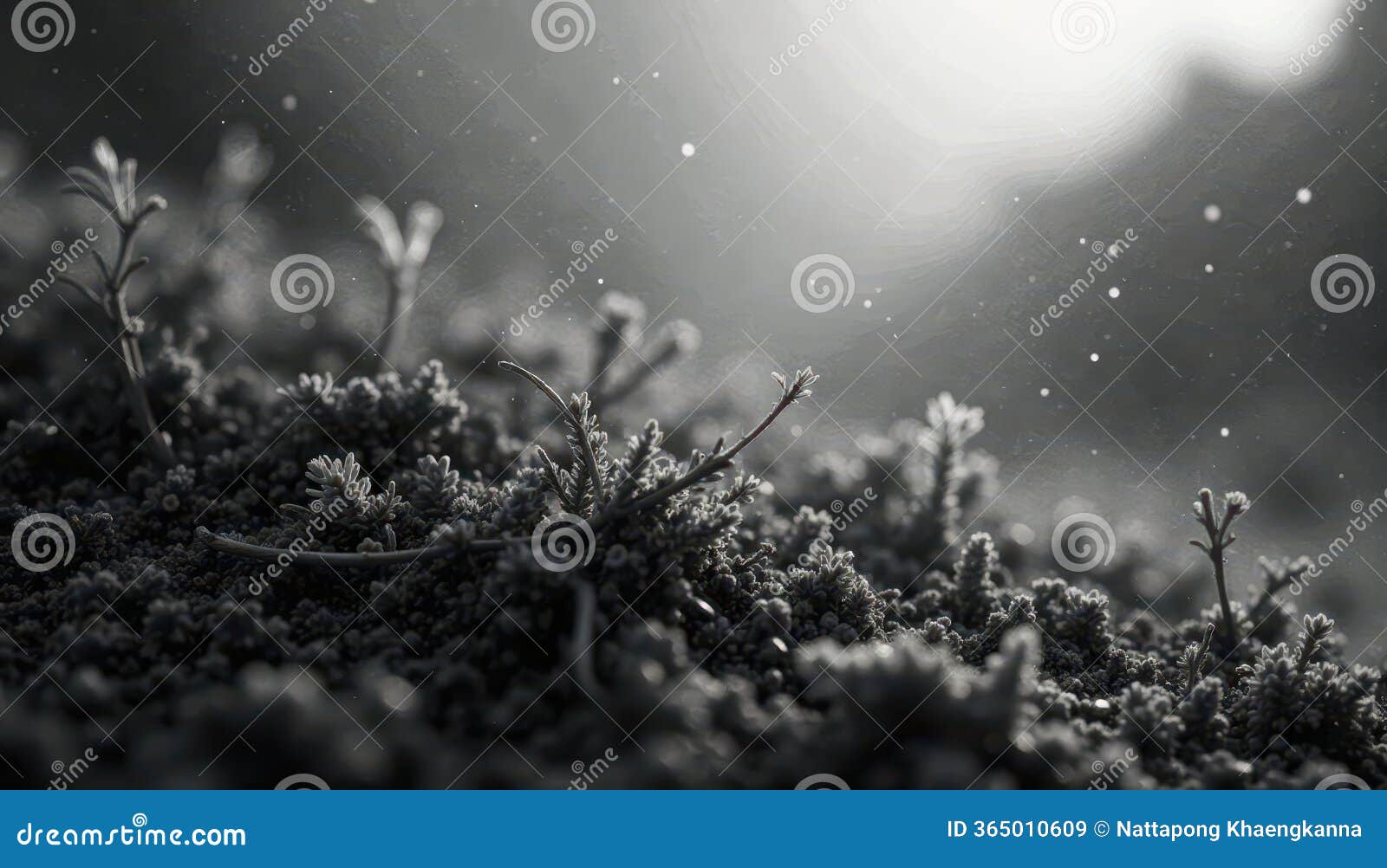 Smooth Gradation Of Pride Flag For Background Stock Photography ...