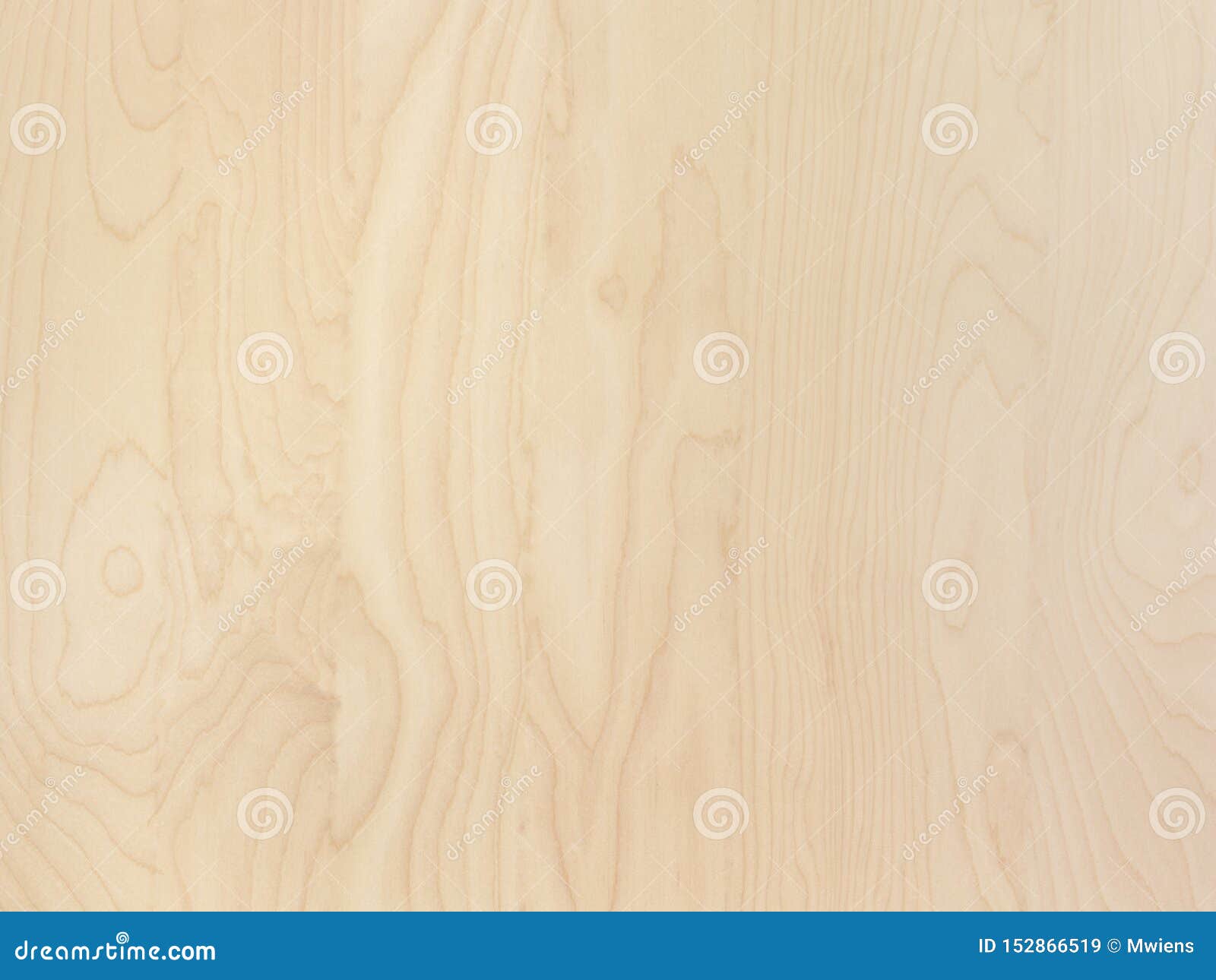 Birch Wood Texture Royalty-Free Stock Photography | CartoonDealer.com ...
