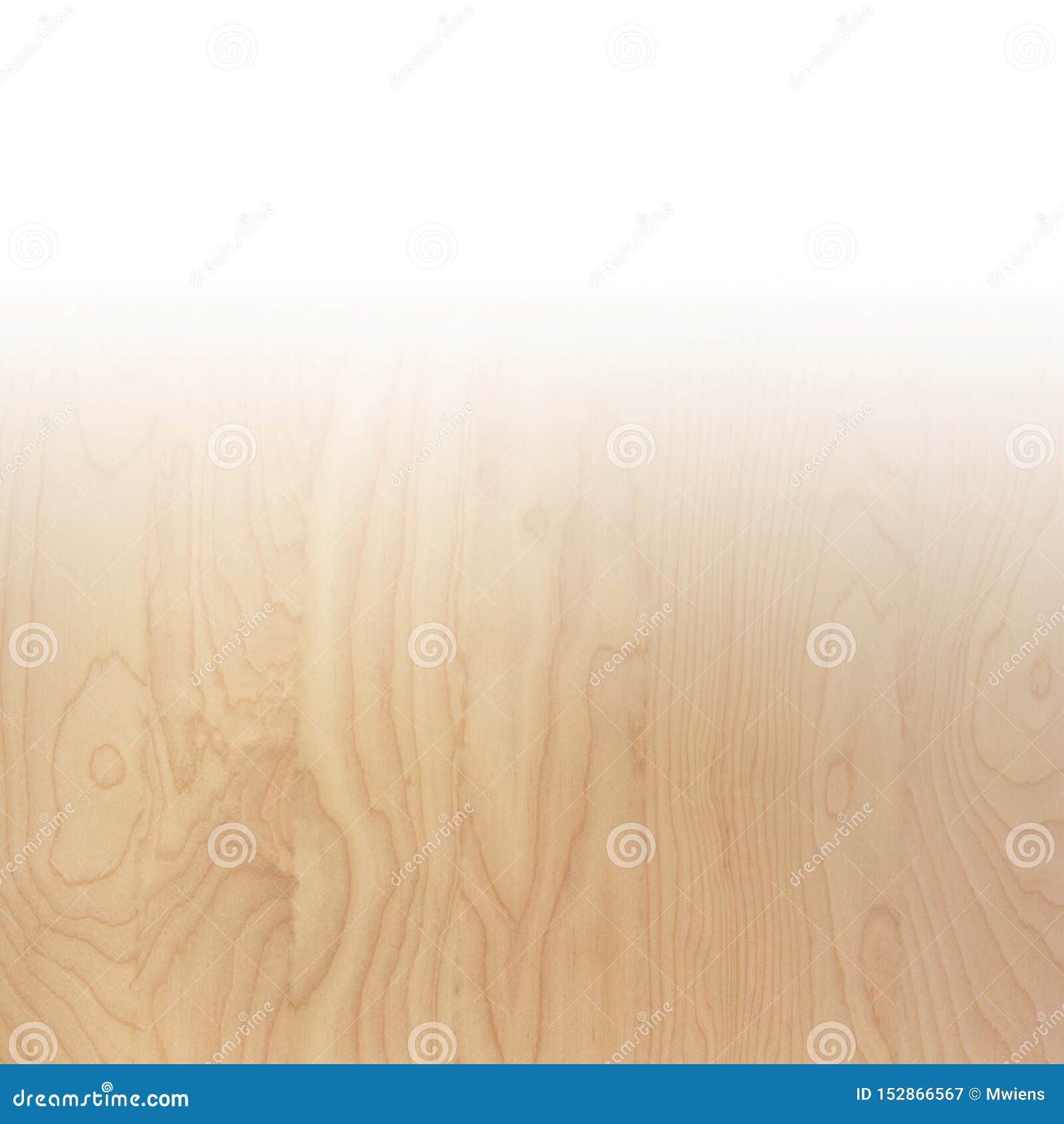 Subtle Tan Smooth Natural Birch Wood Grain Abstract Background Surface ...