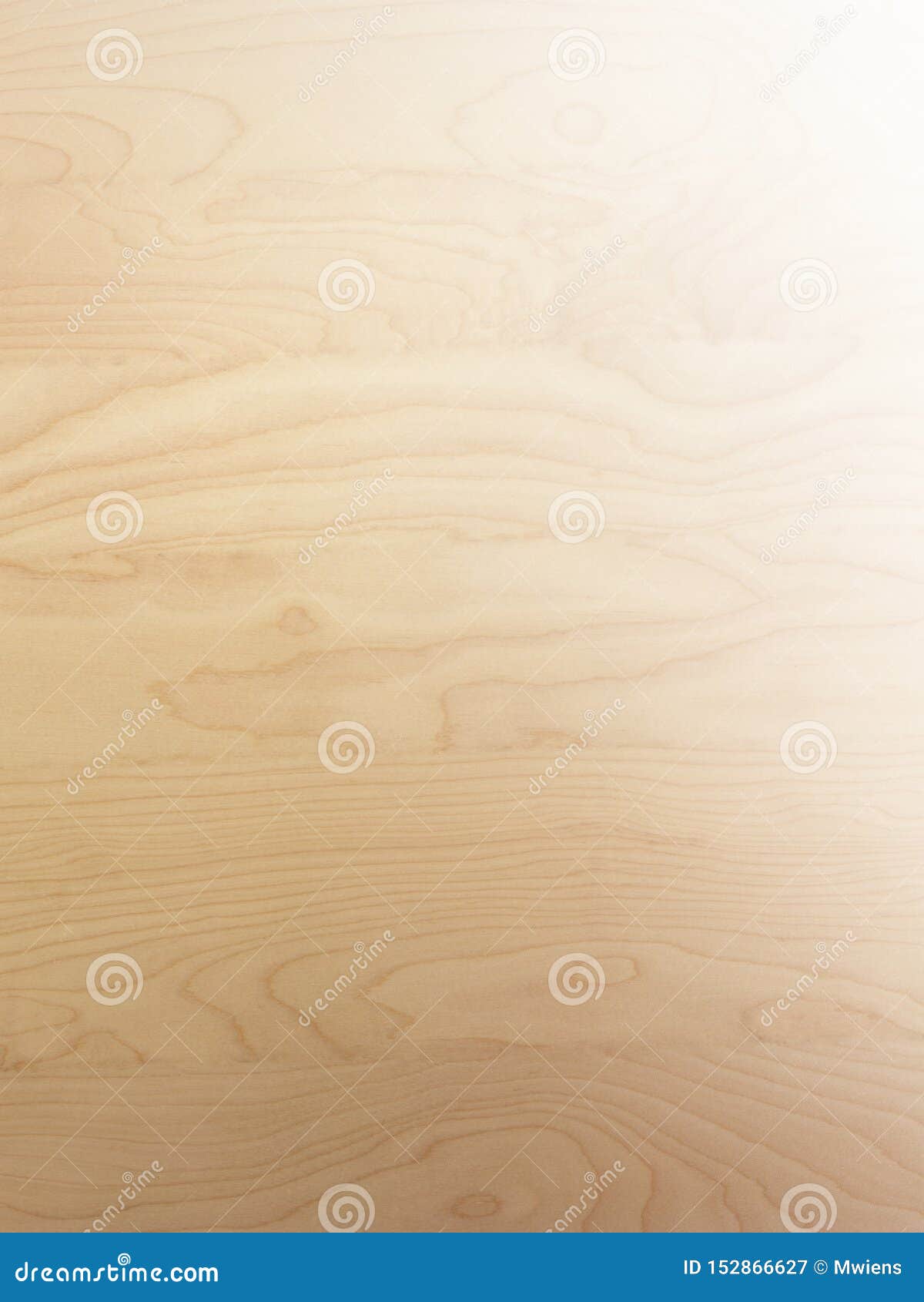 Soft Tan Natural Birch Wood Grain Abstract Background Surface Stock ...