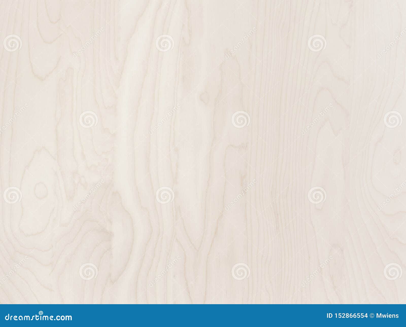 Smooth Pale White Birch Wood Background Surface Stock Photo - Image of ...